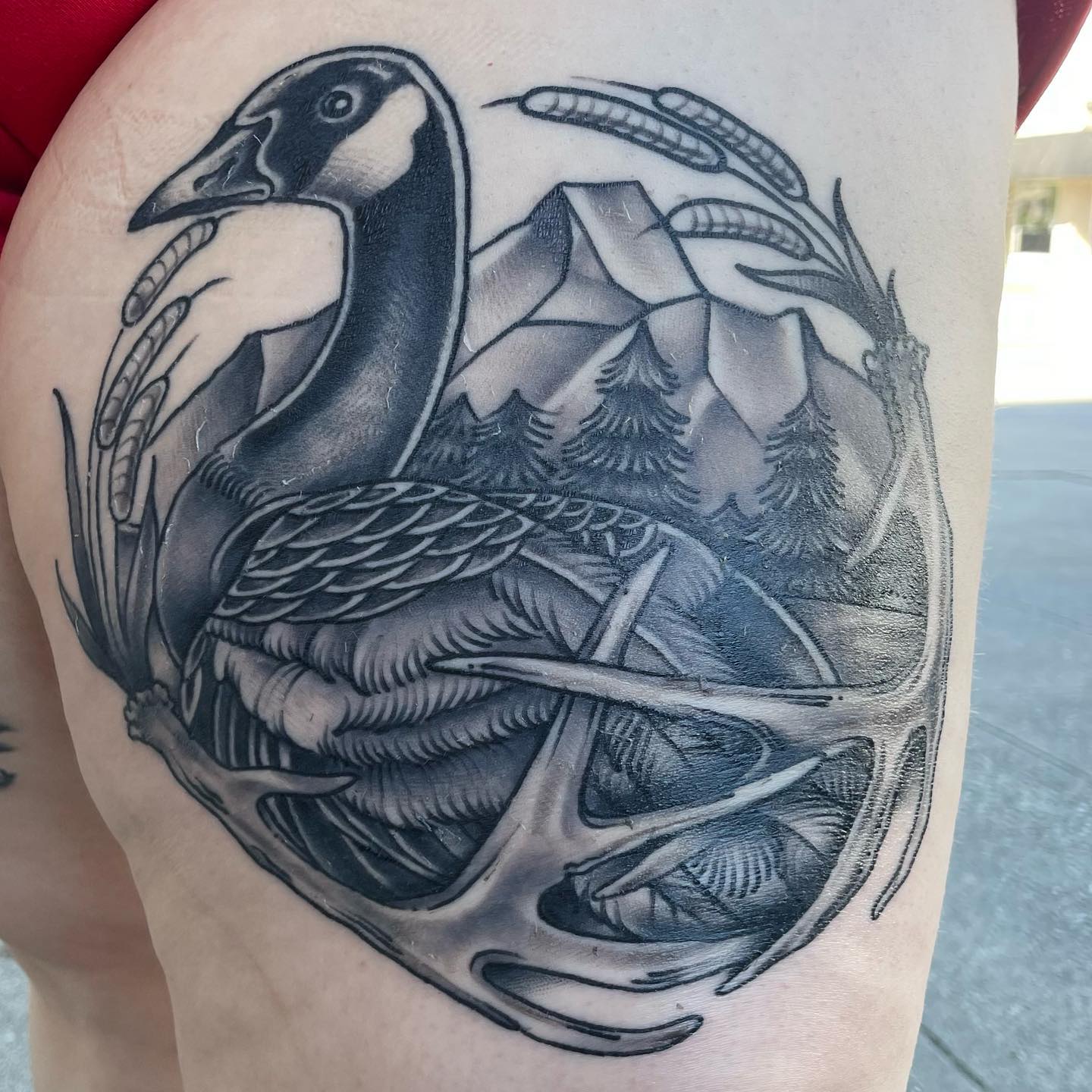 Casey Ploof (Guest Artist) – Black Cat Collective