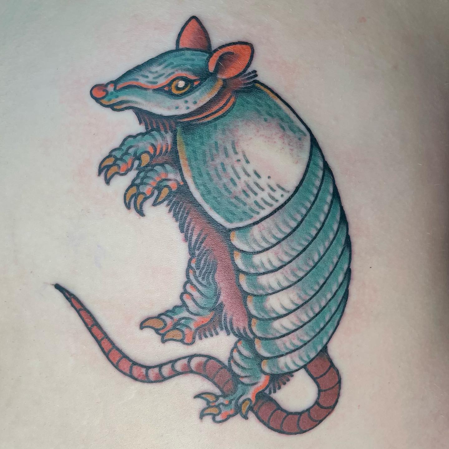 Casey Ploof (Guest Artist) – Black Cat Collective