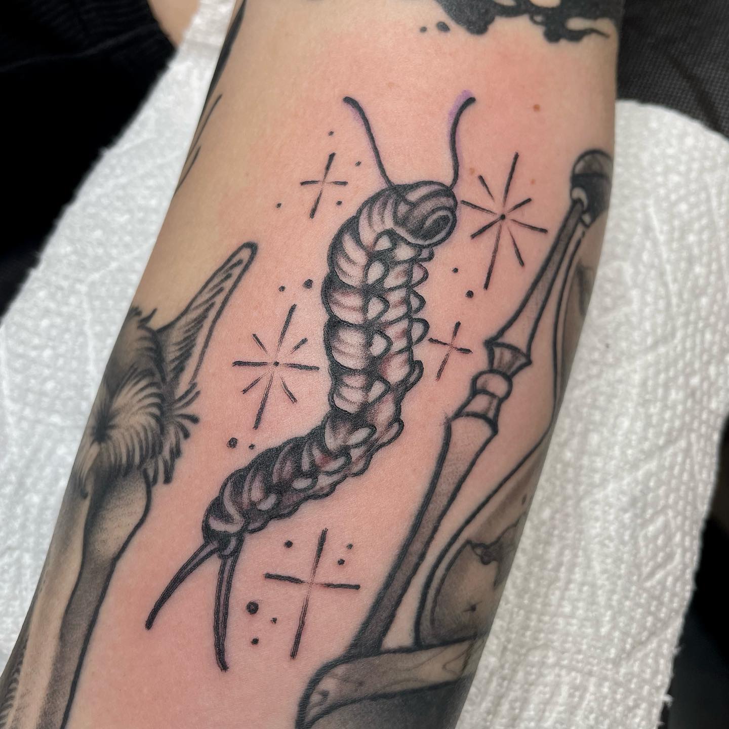 Casey Ploof (Guest Artist) – Black Cat Collective